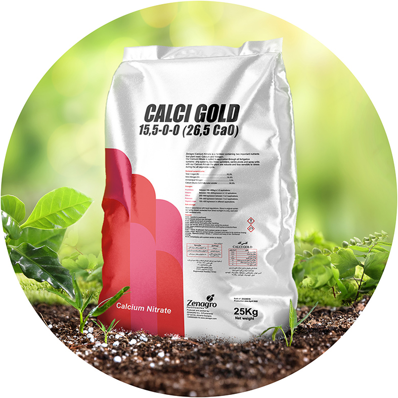 Calci gold – Hamon Bazr Zarin Co.