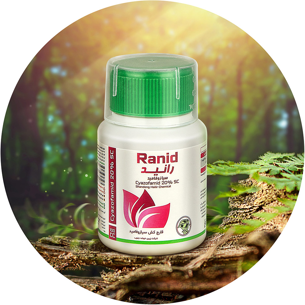 Ranid – Hamon Bazr Zarin Co.